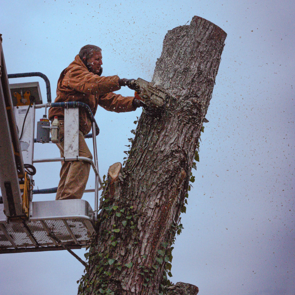 Rebuilding Hope Ministries